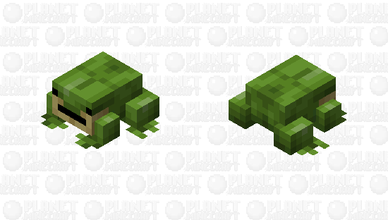 phrog Minecraft Mob Skin