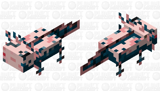 Axolotl pink and blue Minecraft Mob Skin