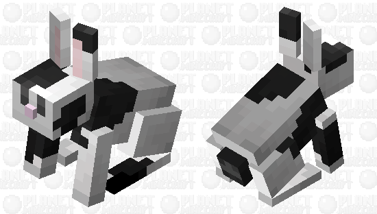 Standard White Splotched Rabbit Texture at 2x Resolution - Base ...