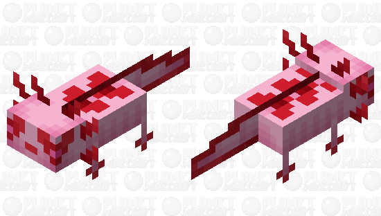 Valentine Axolotl Minecraft Mob Skin