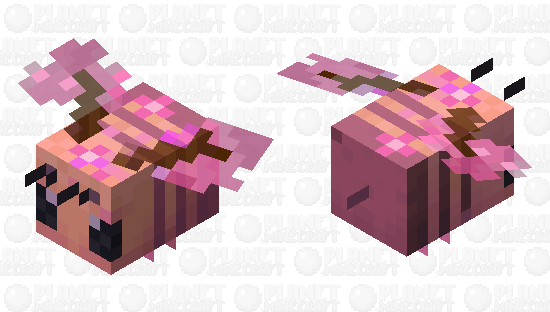 Cherry biome bee Minecraft Mob Skin