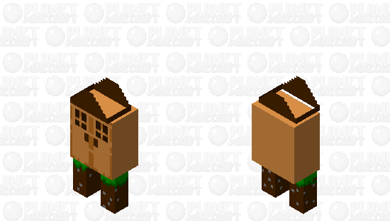 House Minecraft Mob Skin