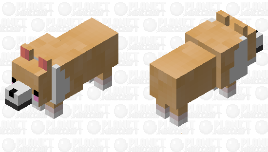 cargi the corgi reeeeeeee Minecraft Mob Skin