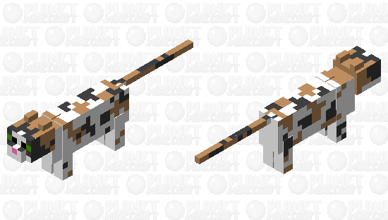 tricolore cat Minecraft Mob Skin