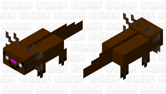 dumb brown axolotl Minecraft Mob Skin