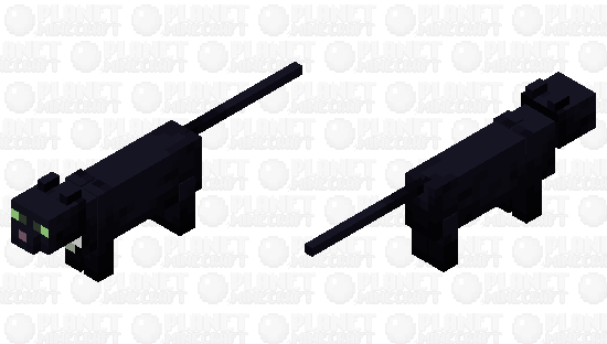 MAXWELL THE CAT Minecraft Mob Skin
