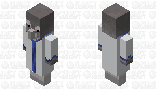 Inverted Evoker Minecraft Mob Skin