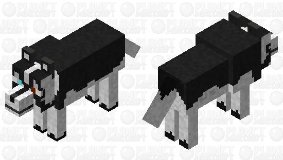 Black Toe Siberian Husky Dog Minecraft Mob Skin