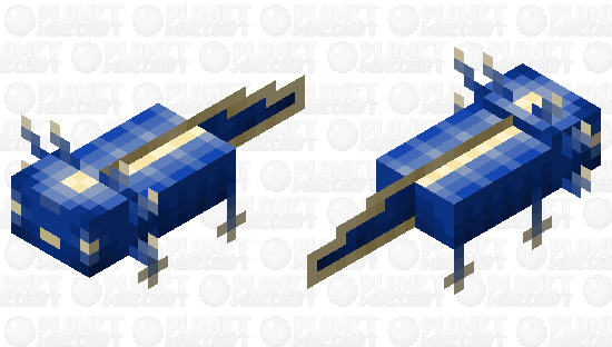 StarryNight Axolotl Minecraft Mob Skin