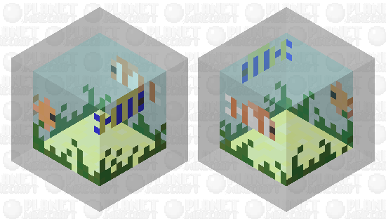 Fish Tank Minecraft Mob Skin