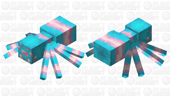 Trans Spider Minecraft Mob Skin