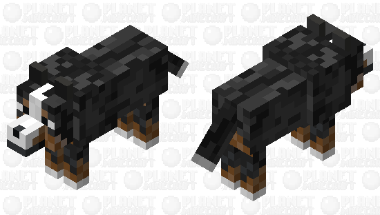 Bernese mountain dog / Collie / Other look-alikes Minecraft Mob Skin