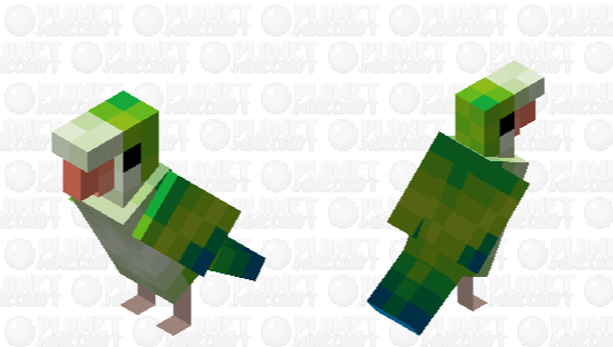 Quaker Parrot Minecraft Mob Skin
