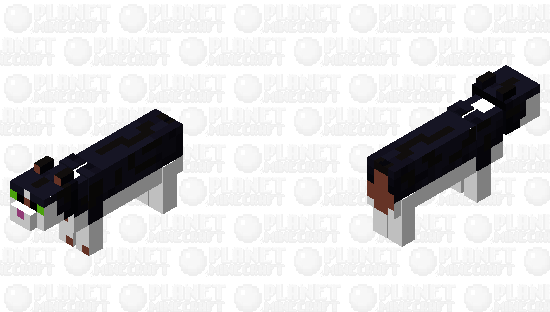 My Cat Ruby Minecraft Mob Skin