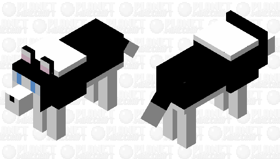 Siberian husky + _ } Minecraft Mob Skin