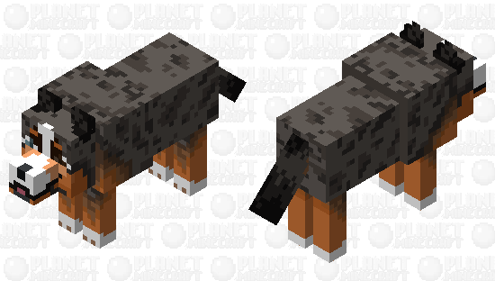 Australian Shepard Minecraft Mob Skin