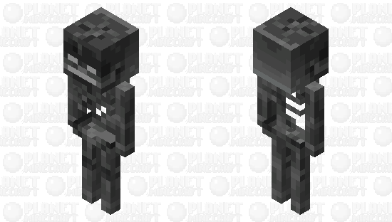 Inverted Skeleton Minecraft Mob Skin