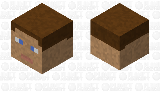 Steve Gast Minecraft Mob Skin