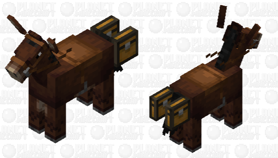 Standard Mule Texture in 2x Resolution - Base Minecraft Mob Skin