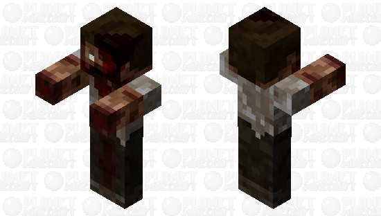 Braiiiiiins!!! Minecraft Mob Skin