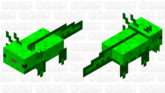 green axolti Minecraft Mob Skin