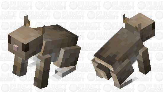 Eastern Grey Squirrel Minecraft Mob Skin