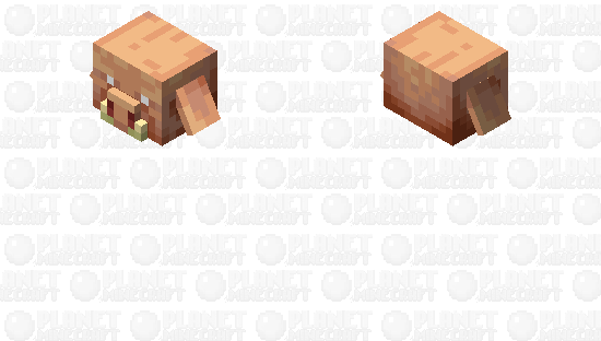 Just a Piglin head Minecraft Mob Skin