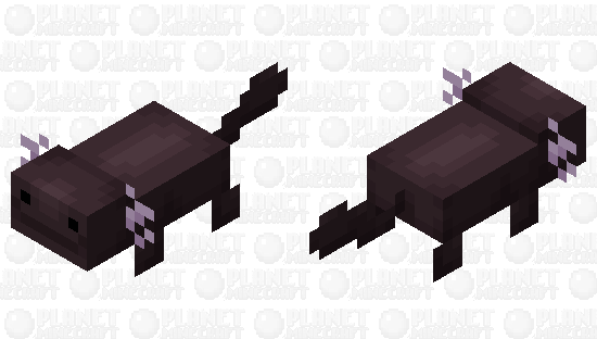 Paldean Wooper Axolotl Minecraft Mob Skin