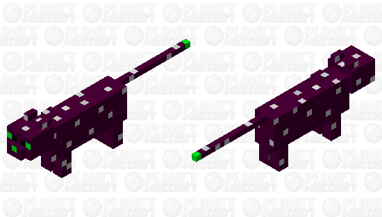End cat Minecraft Mob Skin