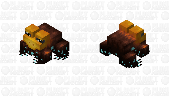 Beautiful frog from Columbia Minecraft Mob Skin