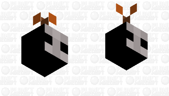 Bomb Minecraft Mob Skin