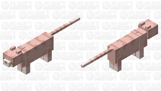 strawberry cat 2.0 Minecraft Mob Skin