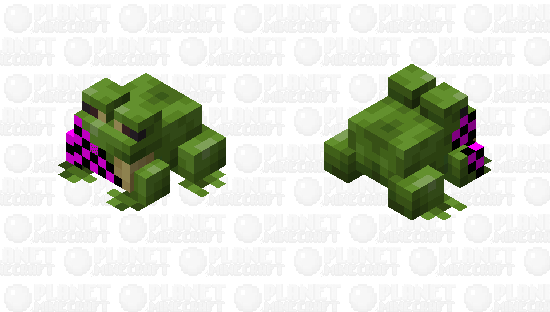 corrupted frog (first skin) Minecraft Mob Skin