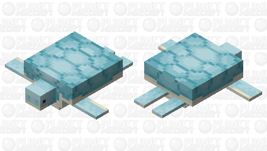 turtle!!! Minecraft Mob Skin