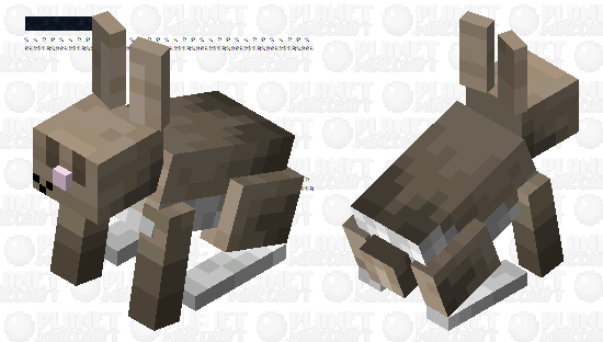 happy Minecraft Mob Skin