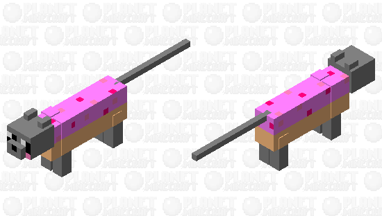 Poptart Cat Minecraft Mob Skin