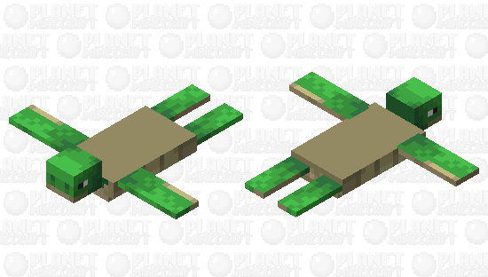 Turtle rug Minecraft Mob Skin
