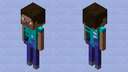 Steve Skeleton Minecraft Mob Skin
