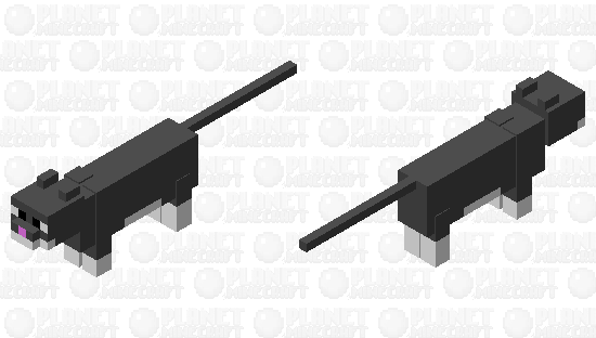 My cat (Silver) Minecraft Mob Skin