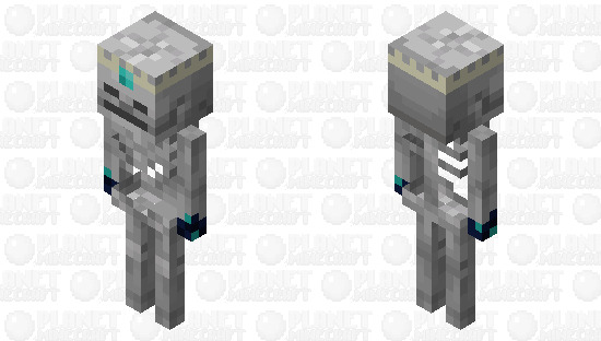 Sculk necromancer Minecraft Mob Skin