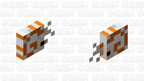 nautilus Minecraft Mob Skin