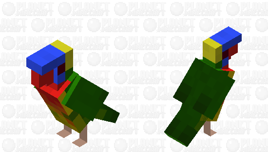 Rainbow Lorikeet Minecraft Mob Skin