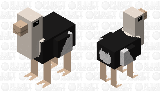 Common Ostrich Minecraft Mob Skin