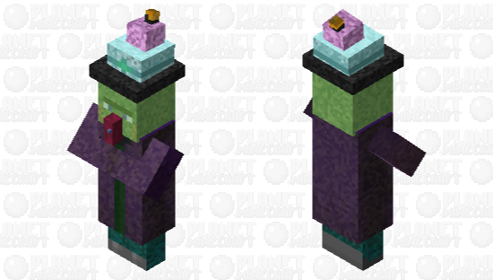 Cake Hat Witch Minecraft Mob Skin