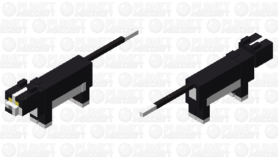 Shadowclan Nightstar Minecraft Mob Skin