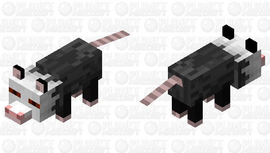 Opposum Minecraft Mob Skin
