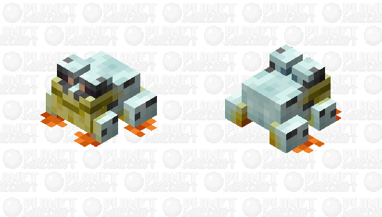 Frog skin variant, Madagascan reed frogs "Heterixalus madagascariensis ...