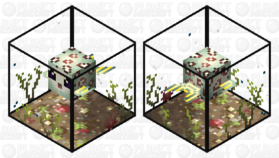 Bubble the pufferfish Minecraft Mob Skin