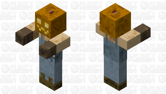 stupid scarecrow Minecraft Mob Skin