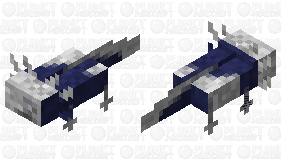 Axo shadowed 1x pixel Minecraft Mob Skin